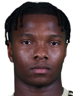 Hamady Diop - Stats by competition | Transfermarkt