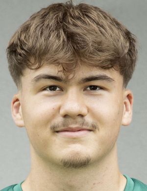 Tarik Mulasalihovic - Player profile | Transfermarkt