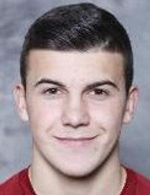 Anes Mehmedovic - All goals | Transfermarkt