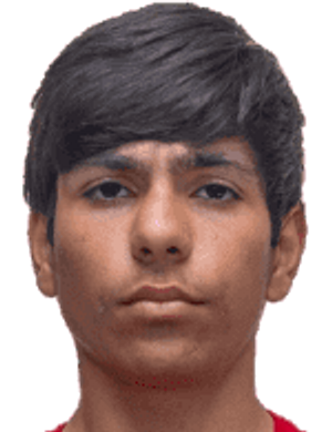 Nairi Harutyunyan - Oyuncu profili 24/25 | Transfermarkt