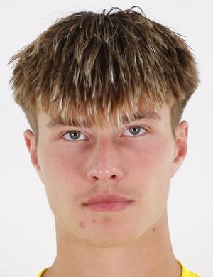 Vitaliy Dyachenko - Profilo giocatore 25/26 | Transfermarkt