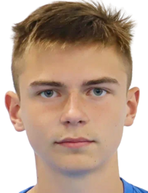 Roman Vasiljev - Player profile 23/24 | Transfermarkt