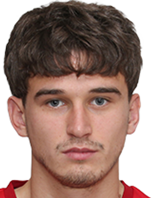 Denis Stepanenko - Player profile 2025 | Transfermarkt