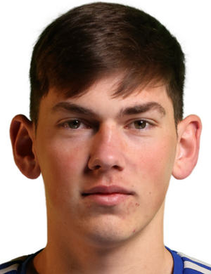 Domagoj Vidovic - Player profile 25/26 | Transfermarkt