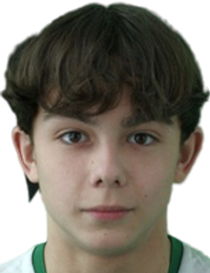 Roman Alekseev - Player profile 2024 | Transfermarkt