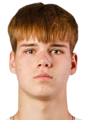 Artem Dudarenko - Player profile 24/25 | Transfermarkt