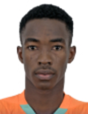 Bi Junior Zahi - Profilo giocatore | Transfermarkt