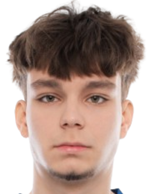 Dmitriy Ermolaev - Player profile 2025 | Transfermarkt