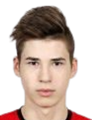 Andriy Lytvynenko - Player profile | Transfermarkt