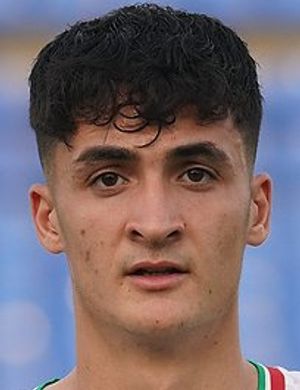 Ramin Azizi - Player profile | Transfermarkt