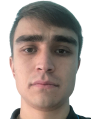 Vladimir Kiselev - Player profile | Transfermarkt