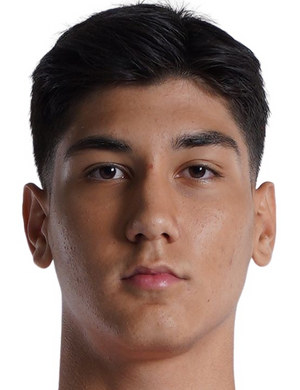 Ayaz Özcan - Leistungsdaten nach Wettbewerb | Transfermarkt