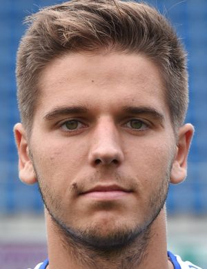 Ales Cermak - Player profile 23/24 | Transfermarkt