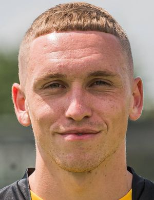 Luca Herrmann - Stats by competition | Transfermarkt