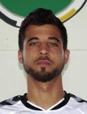 Daniel Jungwirth - Manager profile | Transfermarkt
