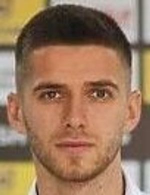 Amar Beganovic - Detailed stats | Transfermarkt