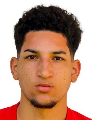 Kevin Ibrahim - Player profile 21/22 | Transfermarkt