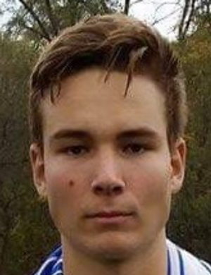 Anes Dzidic - Player profile | Transfermarkt