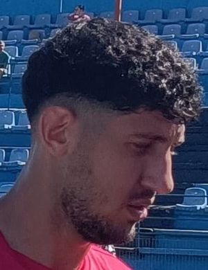 Marian Manea - Spielerprofil 25/26 | Transfermarkt