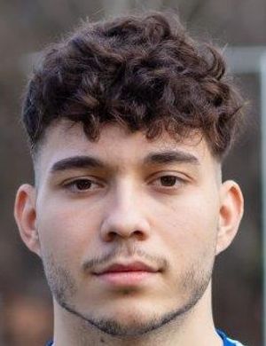 Aleksandar Mladenovic - Profilo giocatore 22/23 | Transfermarkt