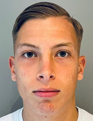 Tom Panepinto - Player profile 23/24 | Transfermarkt