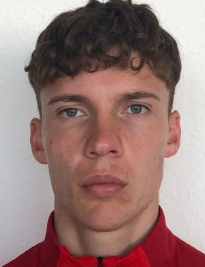 Niklas May - Perfil del jugador 20/21 | Transfermarkt