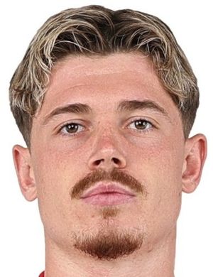 Arbnor Muja - Kupalar ve başarılar | Transfermarkt