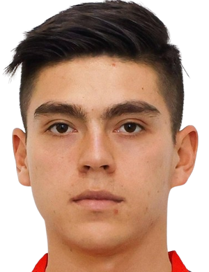 Daniel Ruiz - Player profile 25/26 | Transfermarkt