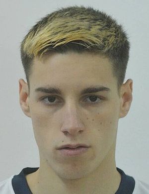 Luka Ciric - Player profile | Transfermarkt
