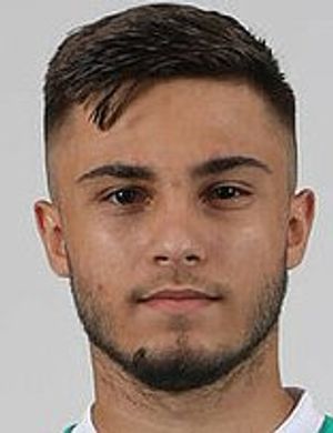 Elmin Mekic - Player profile 23/24 | Transfermarkt
