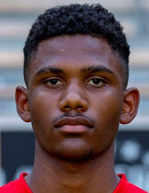 Gabriel Laba - Spielerprofil 20/21 | Transfermarkt