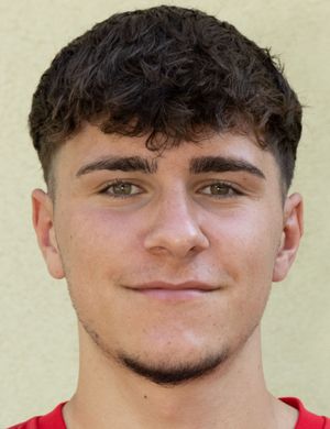 Luka Mirkovic - Profilo giocatore 25/26 | Transfermarkt