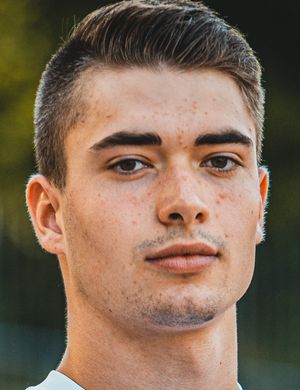 Lukas Hanisch - Perfil de jogador 23/24 | Transfermarkt