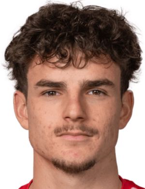 David Schehl - Spielerprofil 25/26 | Transfermarkt