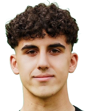 Roman Grygoryan - Player profile 25/26 | Transfermarkt