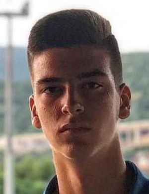 Amar Ibrisimovic - Spielerprofil 23/24 | Transfermarkt