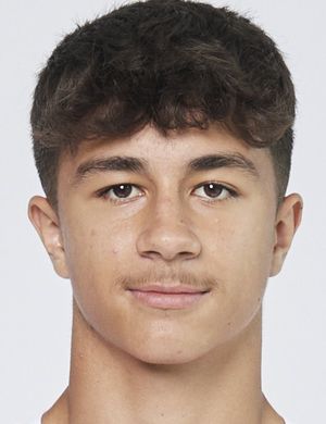 Adin Licina - Detailed stats | Transfermarkt